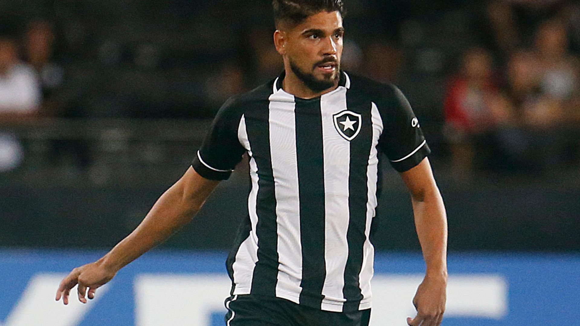 Botafogo: Daniel Borges abre o jogo após derrota para o Palmeiras ...