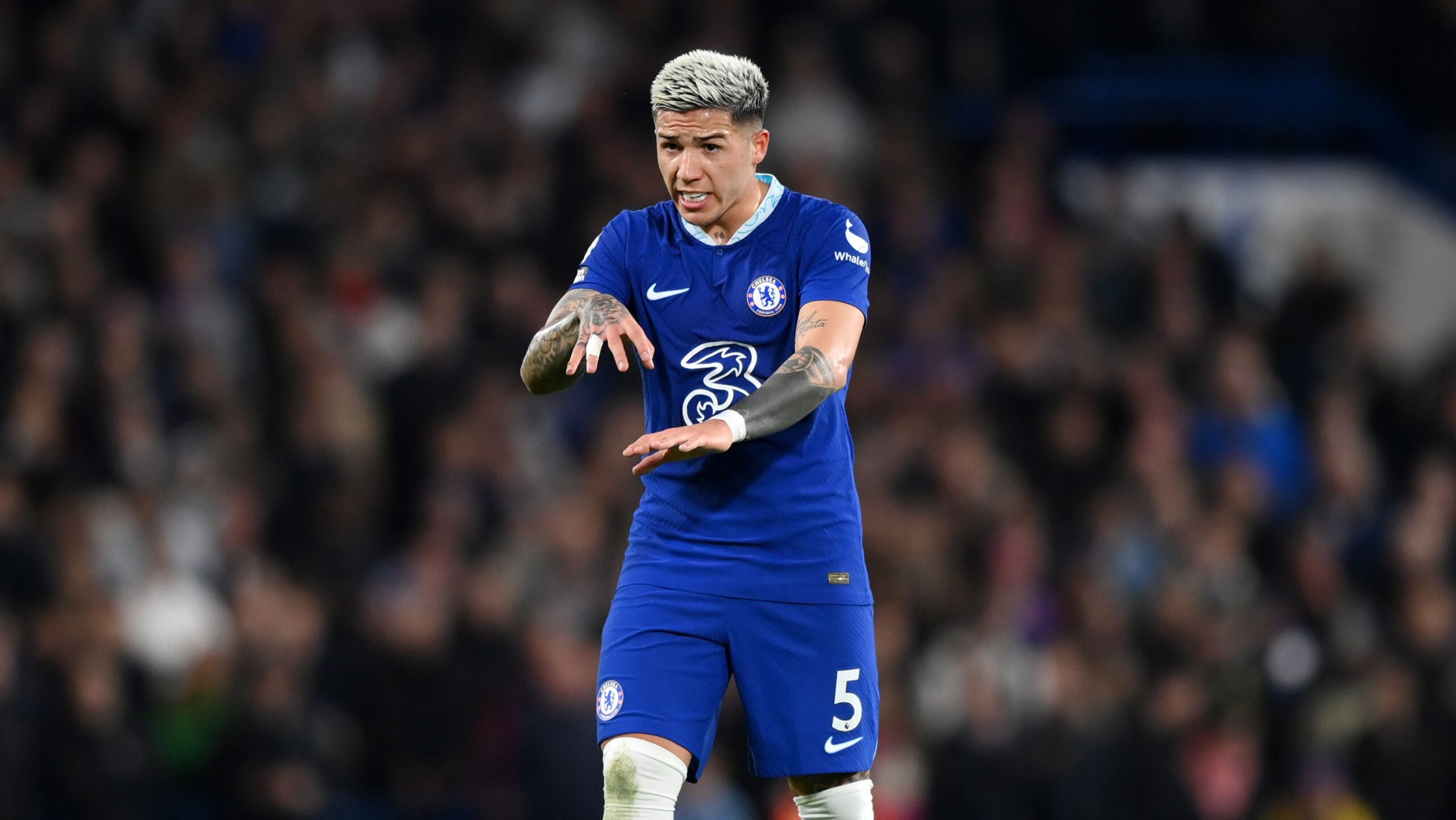 Enzo Fernández estreia pelo Chelsea e ganha elogios dos torcedores ...
